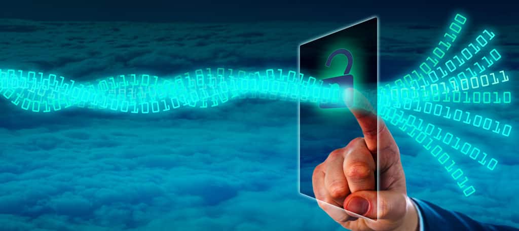 Top 11 Ways Poor Cyber Security Can Harm You