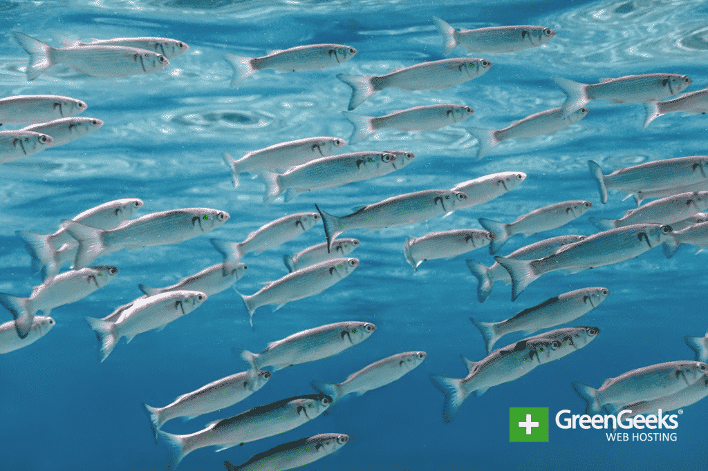 Climate Change Is Responsible For Shrinking The Fish Population