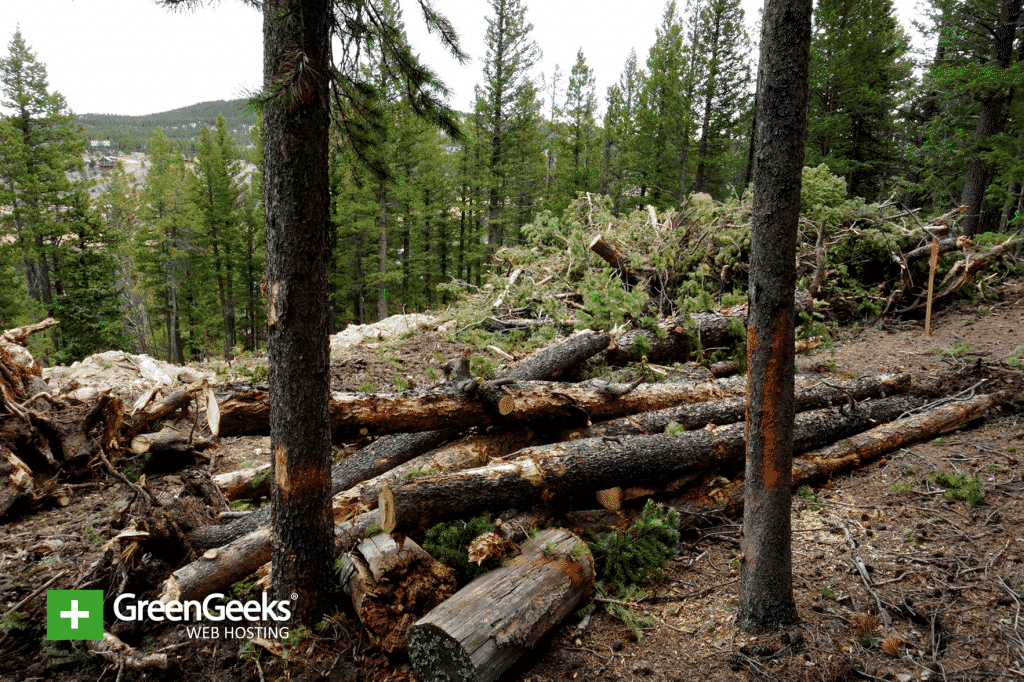 The US Loses 36 Million Trees Every Year
