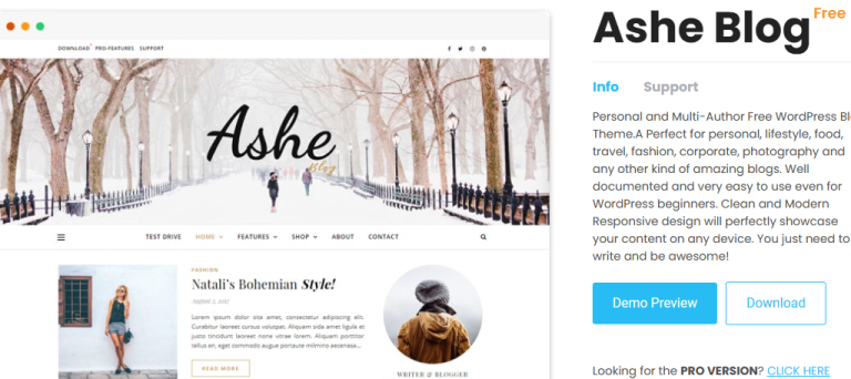 27 Best Free WordPress Blog Themes to Use in 2024