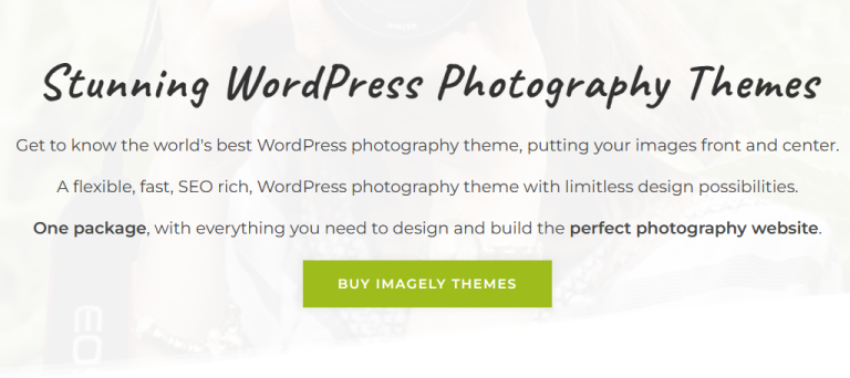 33 Best WordPress Artist Themes to Use in 2024