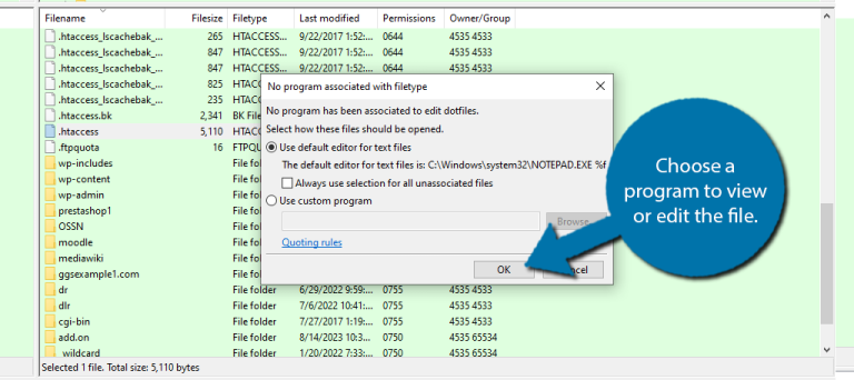 How to Use FileZilla (Ultimate Guide)
