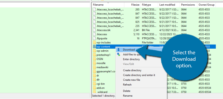 How to Use FileZilla (Ultimate Guide)