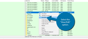 How to Use FileZilla (Ultimate Guide)