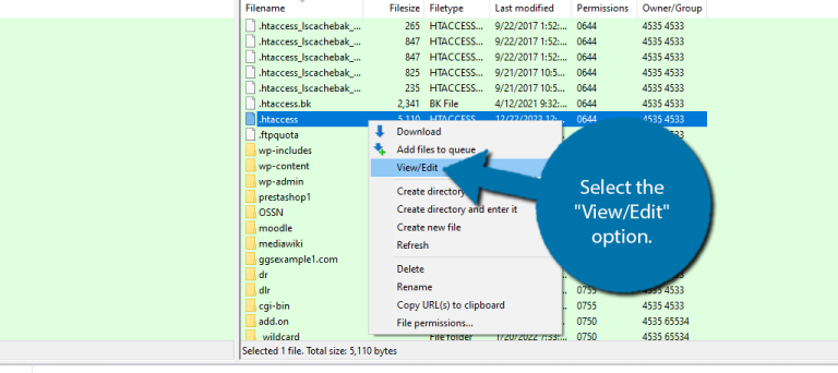 How to Use FileZilla (Ultimate Guide)