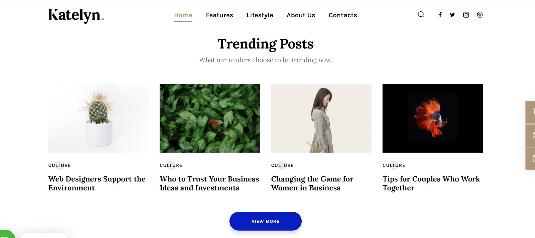 12 Best Medium Style Themes for WordPress in 2024