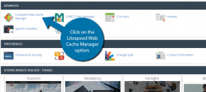 How to Clear Litespeed Cache
