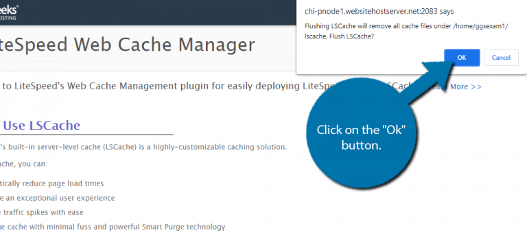 How To Clear Litespeed Cache