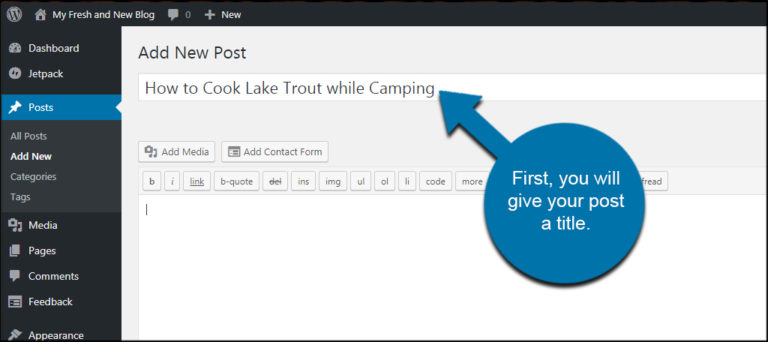 How to Create a WordPress Post and Page - GreenGeeks