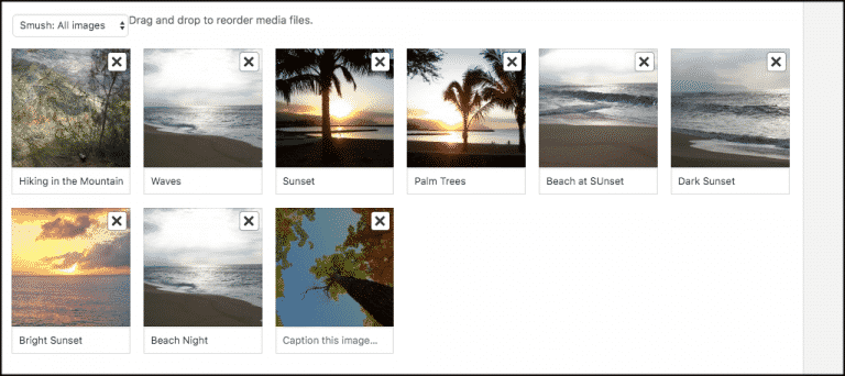 How to Create an Image Gallery in WordPress - GreenGeeks