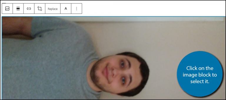 How to Add a Caption to a Photo in WordPress and Why - GreenGeeks