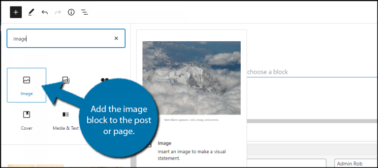 How to Add a Caption to a Photo in WordPress and Why - GreenGeeks