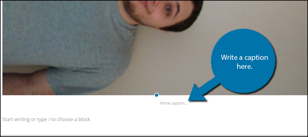 How To Add A Caption To A Photo In WordPress And Why GreenGeeks