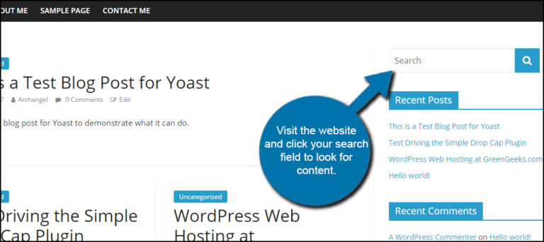 How to Set WordPress to Use a Full Screen Search Overlay - GreenGeeks