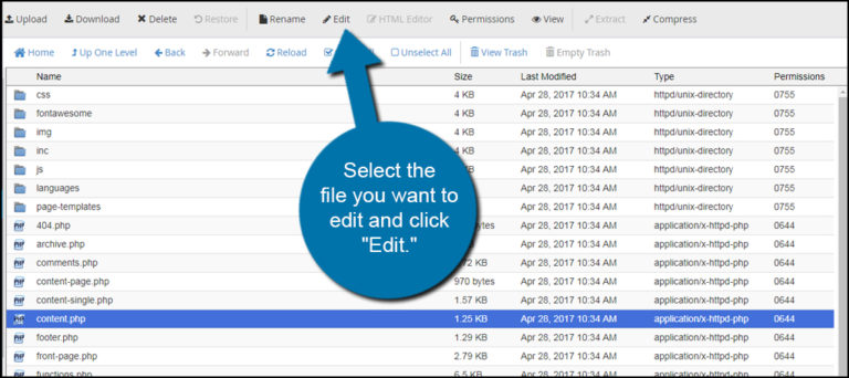 How to View and Edit WordPress Theme Files - GreenGeeks