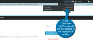 How to View and Edit WordPress Theme Files - GreenGeeks