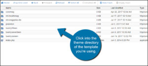 How to View and Edit WordPress Theme Files - GreenGeeks