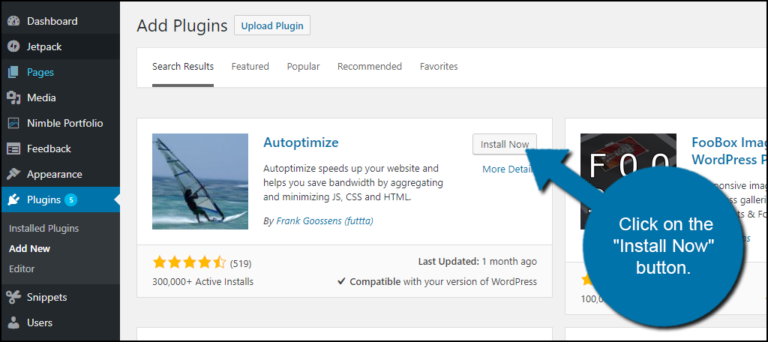 How to Eliminate Render-Blocking JavaScript and CSS in WordPress - GreenGeeks