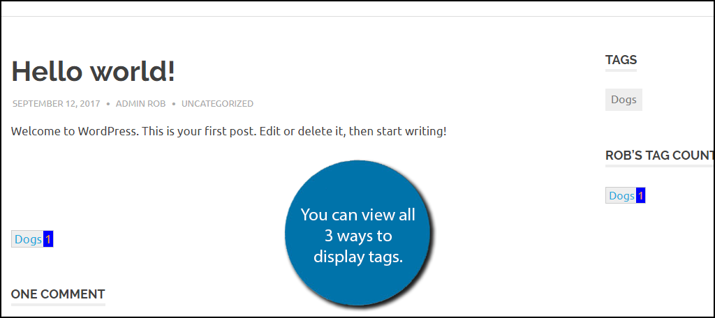 How to Style WordPress Tags - GreenGeeks