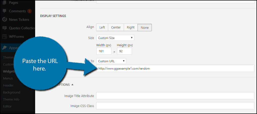 How to Add Any Link in WordPress - GreenGeeks