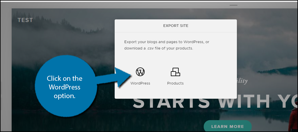 How to Transfer from Squarespace to WordPress - GreenGeeks