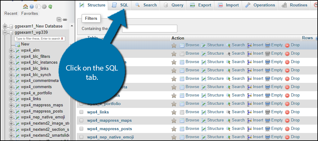 How to Replace Text in Your WordPress Database - GreenGeeks