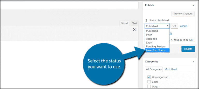 How to Create a Custom Post Status in WordPress - GreenGeeks