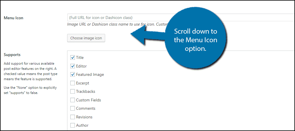 How to Insert Custom Icons for Custom Post Types in WordPress - GreenGeeks