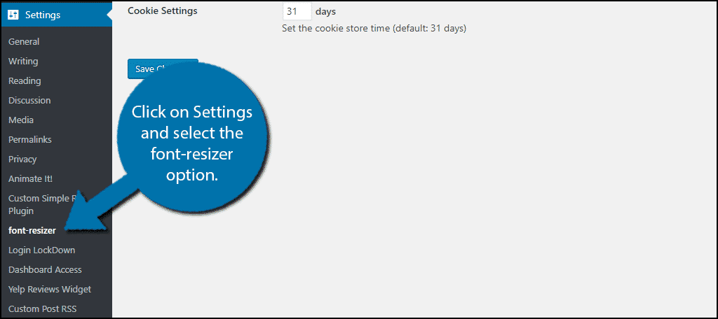 How to Allow Visitors to Change the Font Size in WordPress - GreenGeeks