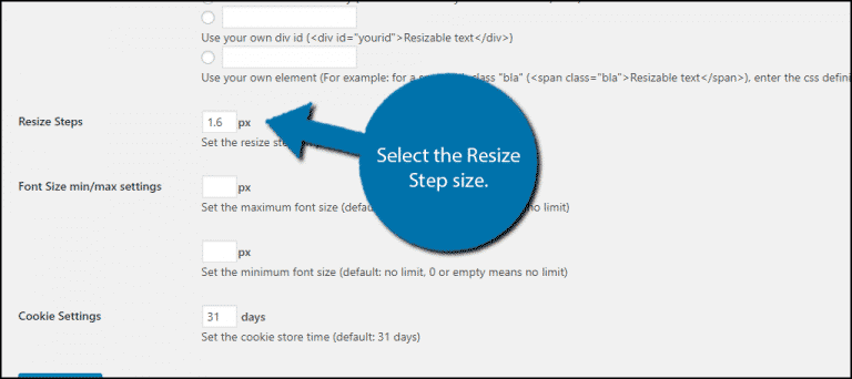 How to Allow Visitors to Change the Font Size in WordPress - GreenGeeks