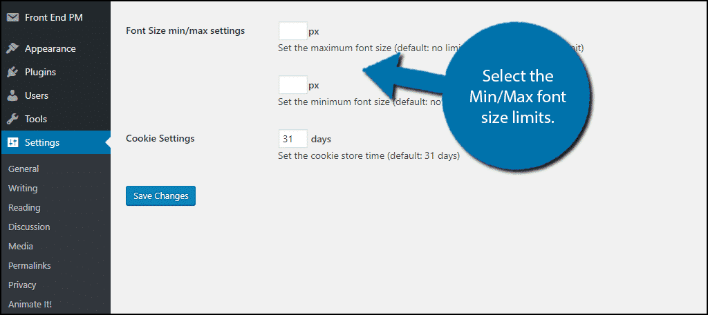 How to Allow Visitors to Change the Font Size in WordPress - GreenGeeks