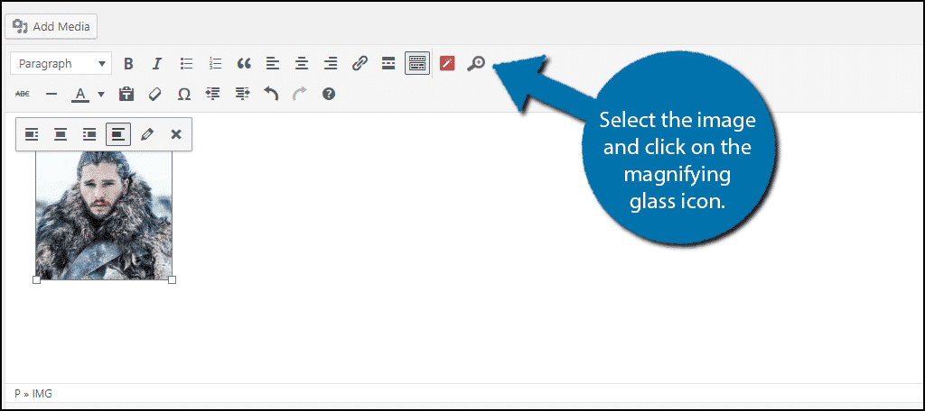 How to Add Image Zoom in WordPress - GreenGeeks