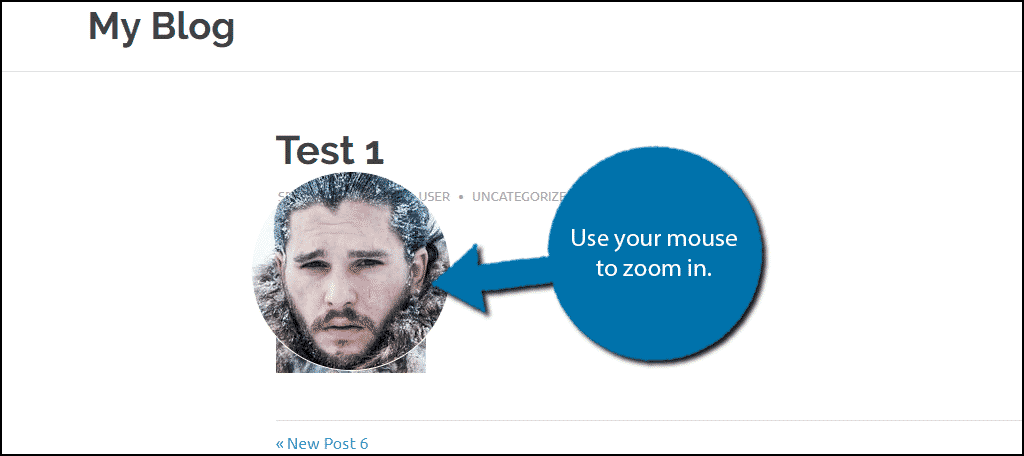 How to Add Image Zoom in WordPress - GreenGeeks