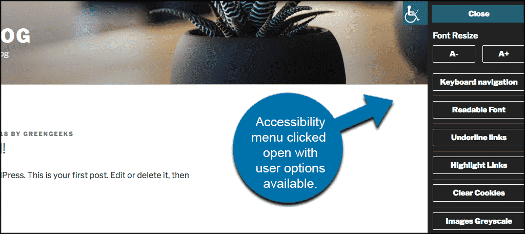 How to Add More Accessibility to Your WordPress Website - GreenGeeks