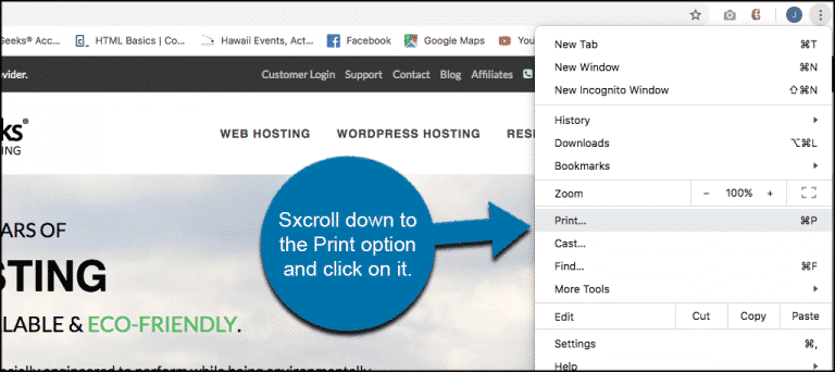 How to Save a Webpage as a PDF in Chrome Browser - GreenGeeks
