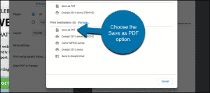 How to Save a Webpage as a PDF in Chrome Browser - GreenGeeks