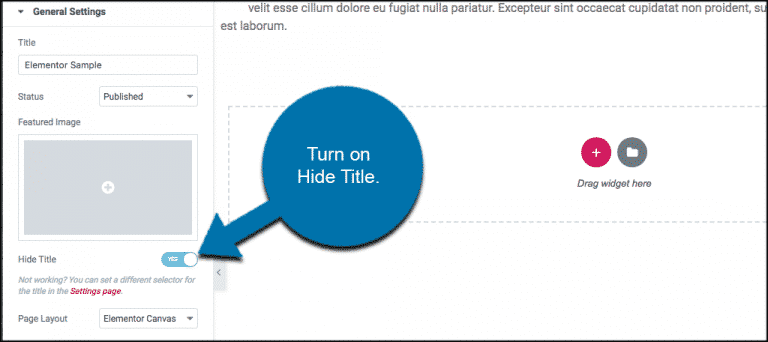How To Hide Page Titles in WordPress Using Elementor - GreenGeeks