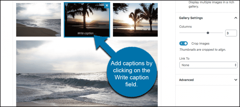 How To Add Image Captions in WordPress - GreenGeeks