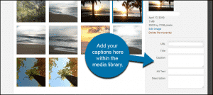 How To Add Image Captions in WordPress - GreenGeeks