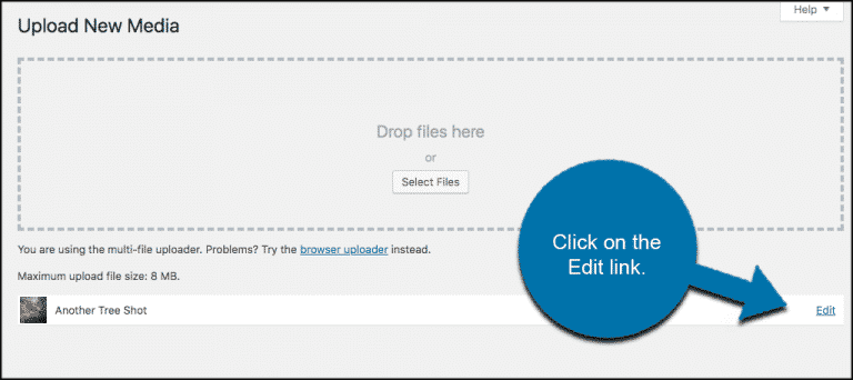 How To Add Image Captions in WordPress - GreenGeeks