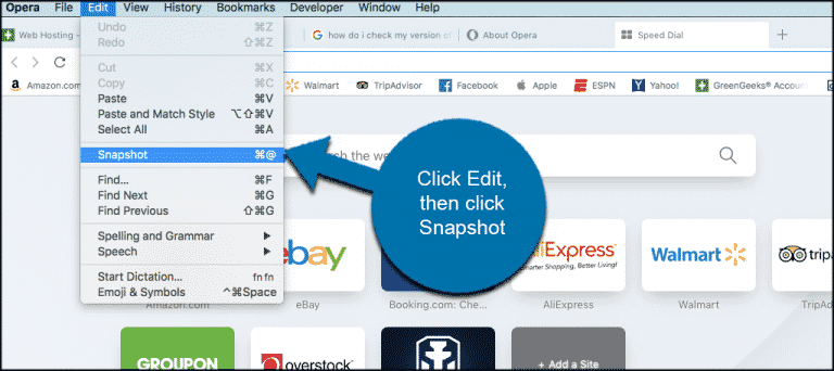 How To Take a Screenshot in Opera - GreenGeeks