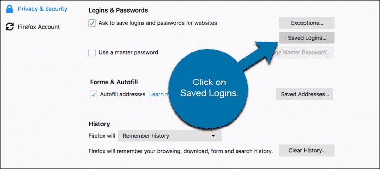 How To View Your Saved Passwords in Firefox - GreenGeeks