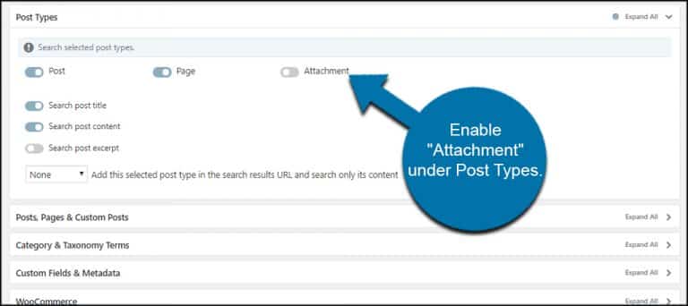 How to Show Specific Post Types for Search Results in WordPress ...
