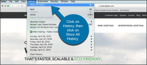 How To Check Browsing History in Safari - GreenGeeks