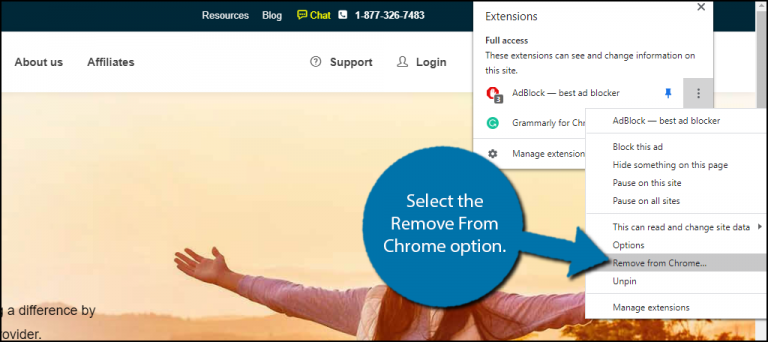How to Add Extensions in Google Chrome - GreenGeeks