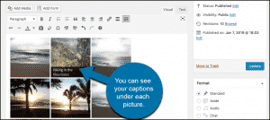 How To Add Image Captions in WordPress - GreenGeeks
