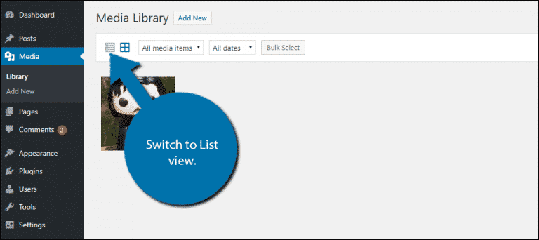 How To Easily Regenerate Thumbnails In Wordpress Greengeeks