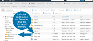 How to Use the cPanel File Manager - GreenGeeks
