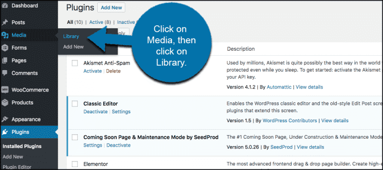How to Replace WordPress Media Files Using Enable Media Replace ...