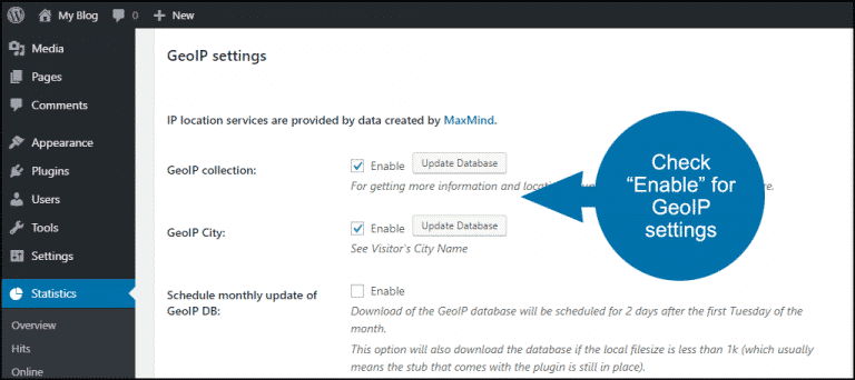 How to Get WordPress Visitor Tracking With WP Statistics - GreenGeeks